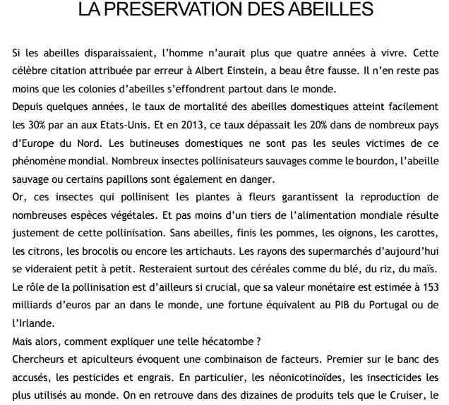 Reading Comprehension in French talk about bees